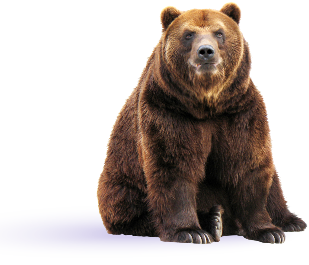 Puzzles Consulting - Small Pieces Build a Big Puzzle